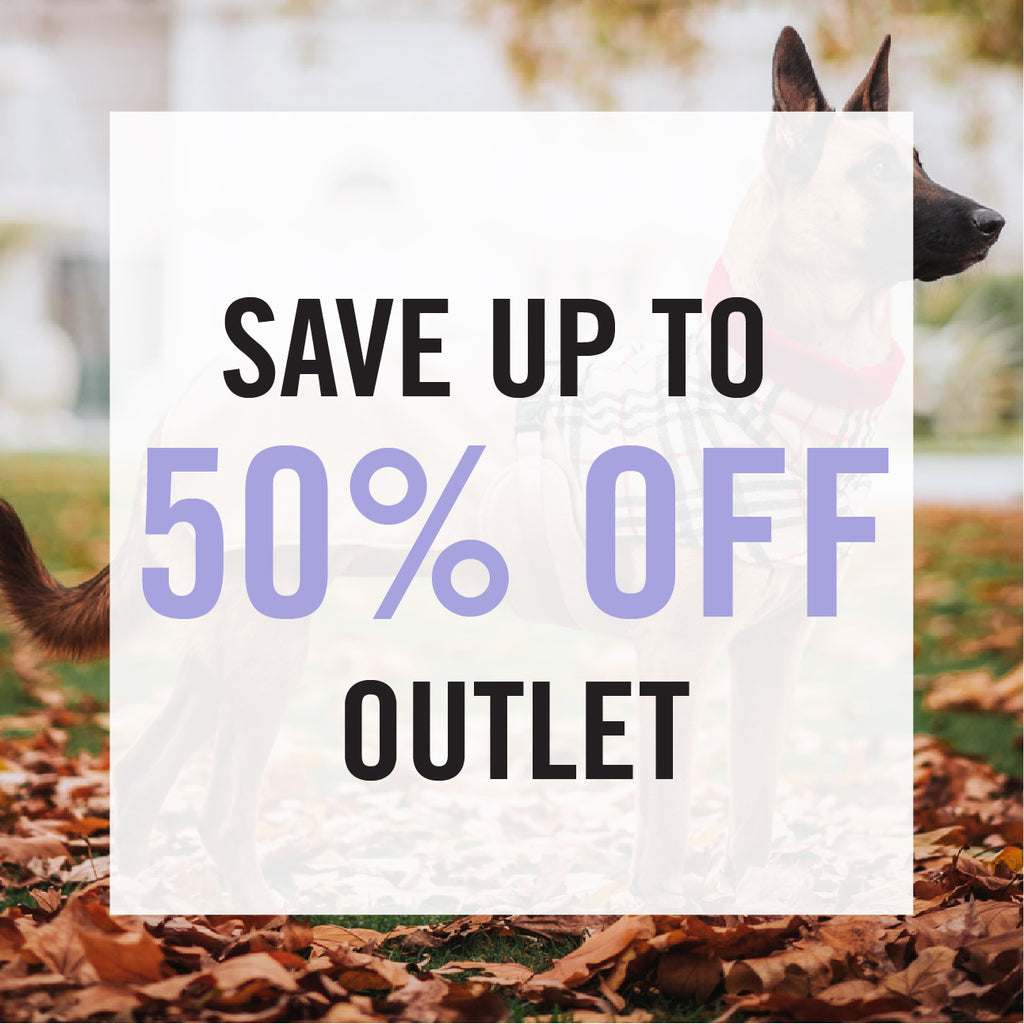 Stylish Hound | Modern Dog Accessories