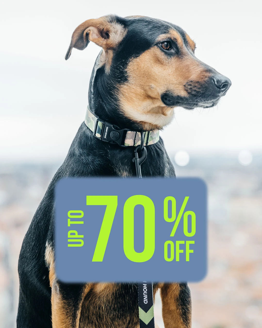 Outlet Sale – Stylish Hound