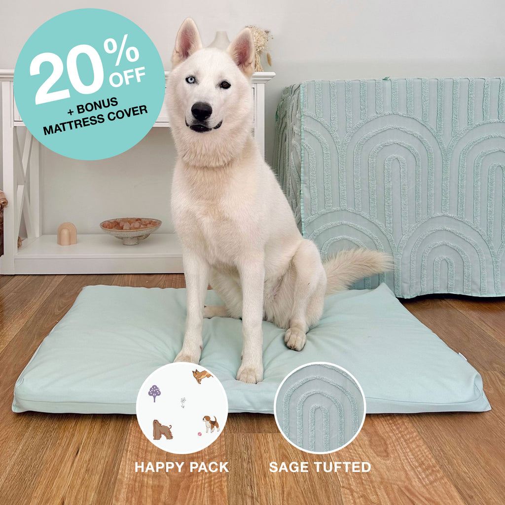 Basic Crate Bundle (PRE-ORDER)