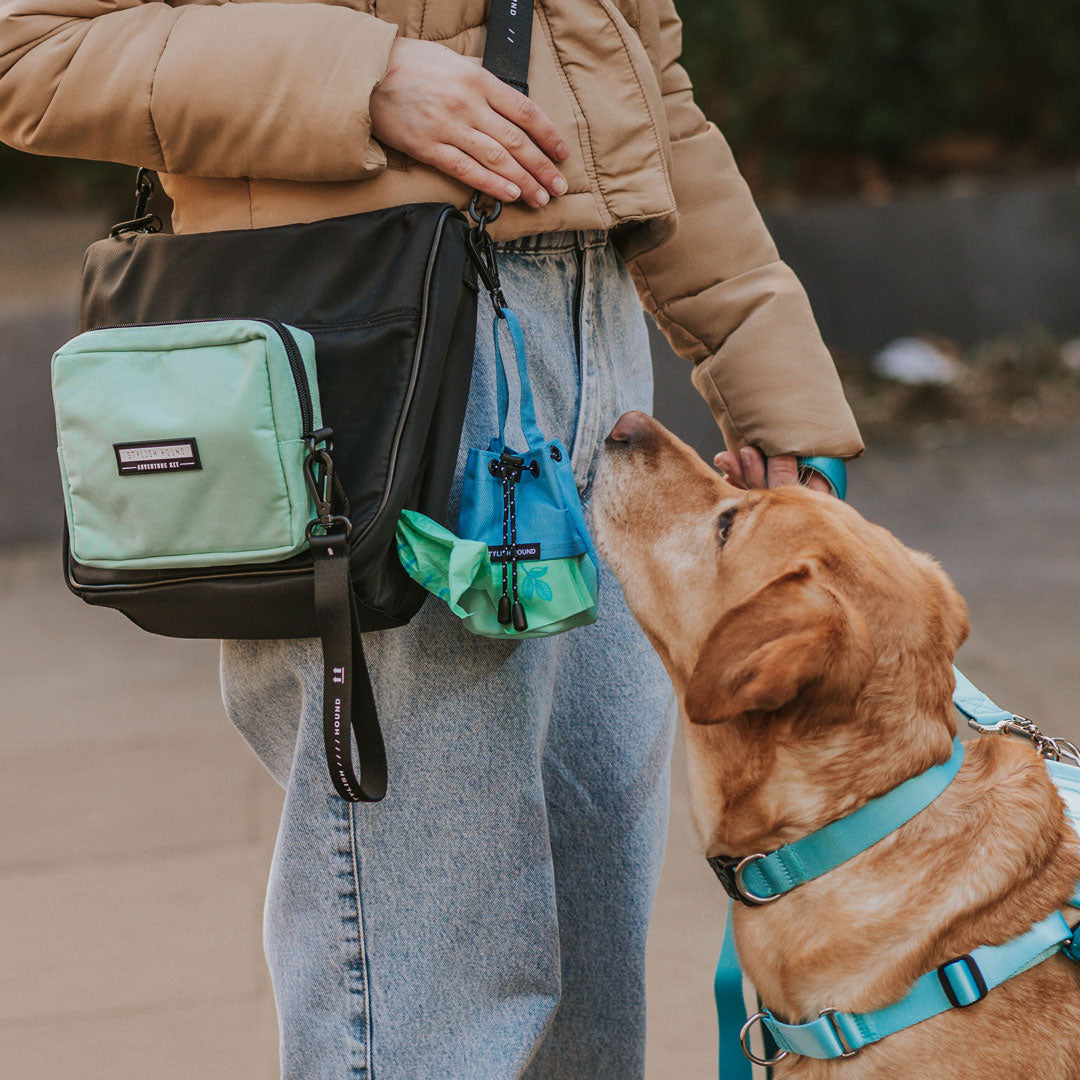 Black Day Tripper Bag | Afterpay | Stylish Hound