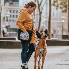 Dog Essentials | Adventure Kit | Afterpay