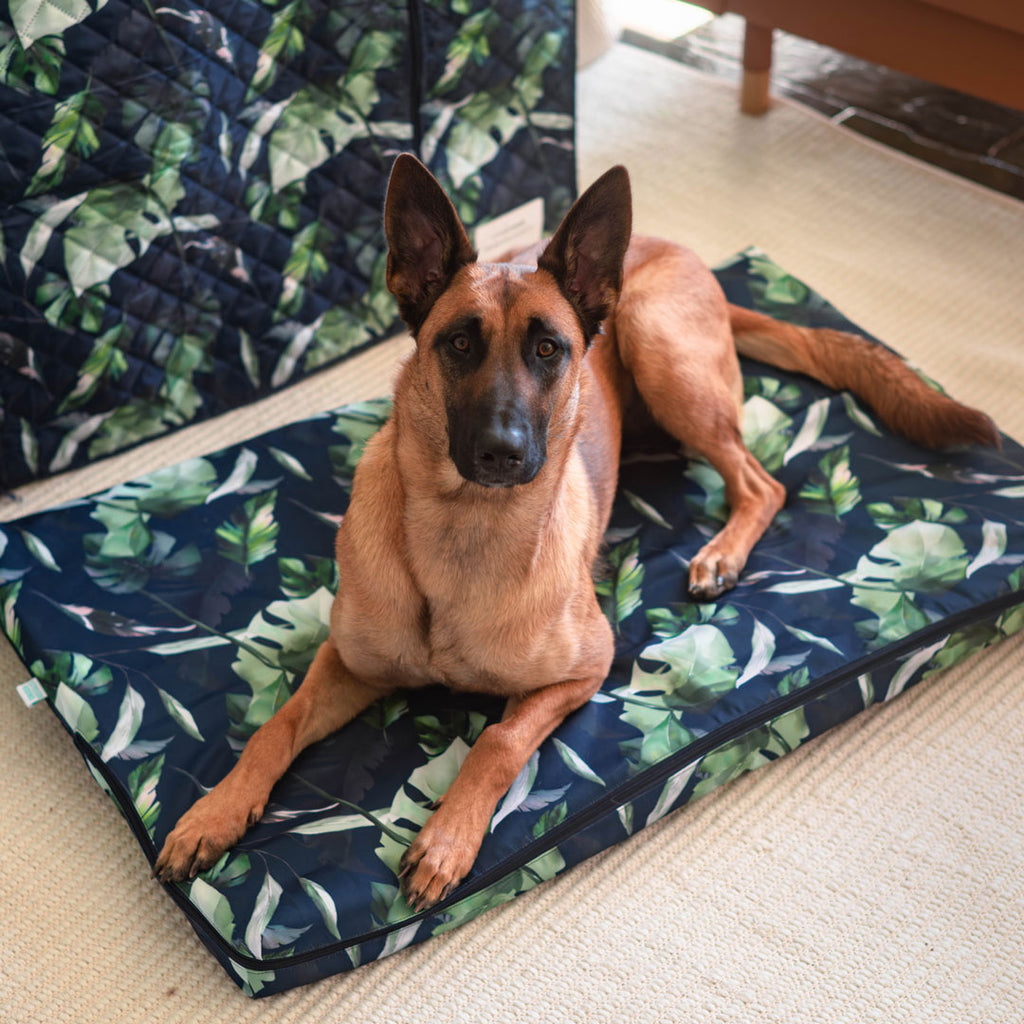Dog Home Accessories | Afterpay | Stylish Hound