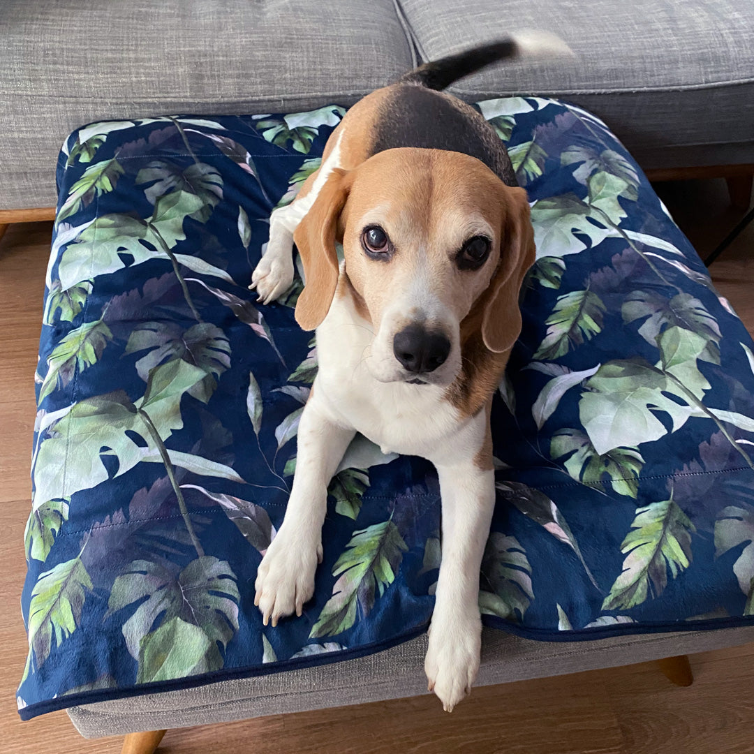 Dog crate blanket store