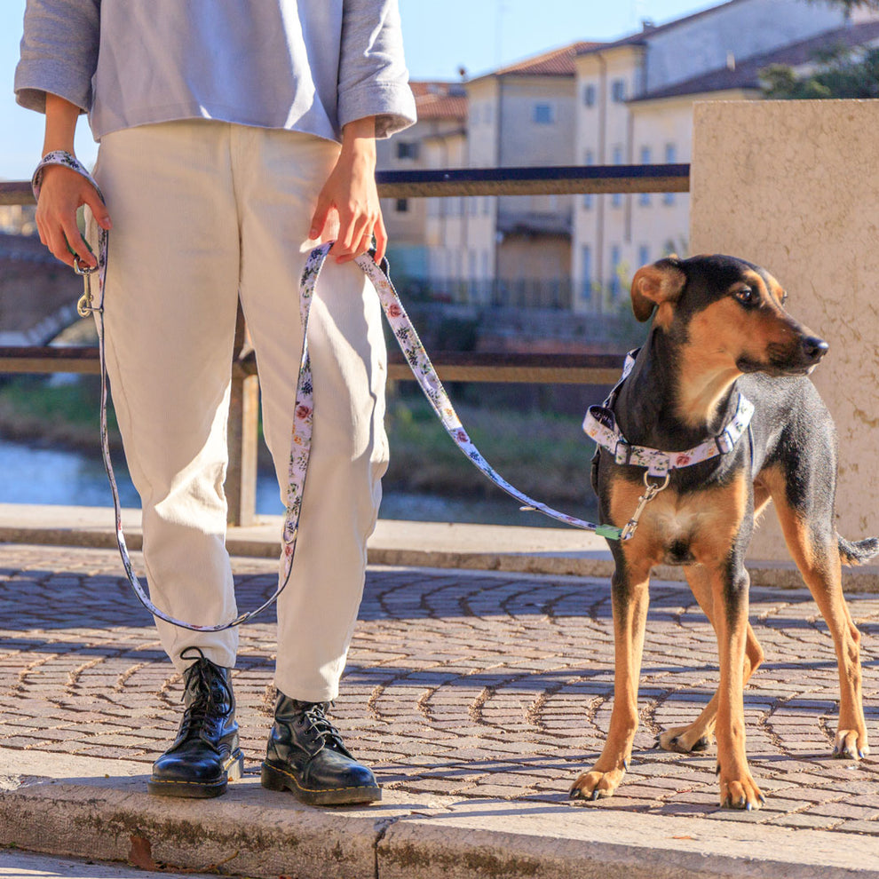 Multi-Function Leash – Stylish Hound