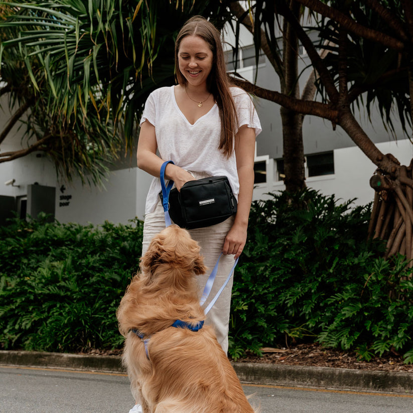 Adventure Kit With Detachable Pouch – Stylish Hound