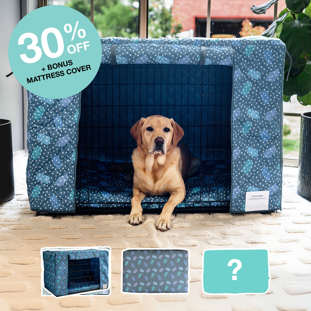 Outlet Crate Bundle – Stylish Hound