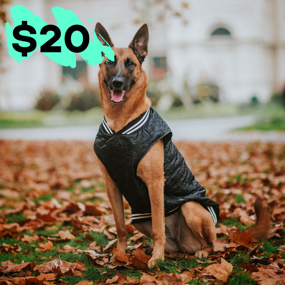 APPAREL – Stylish Hound