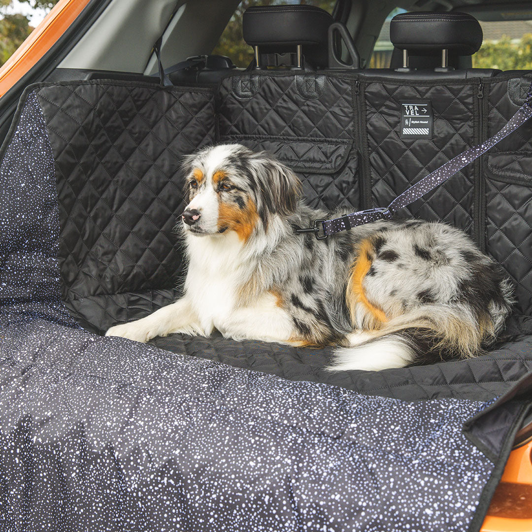 Jackson Dog Car Boot Cover With Drawstring Bag Afterpay
