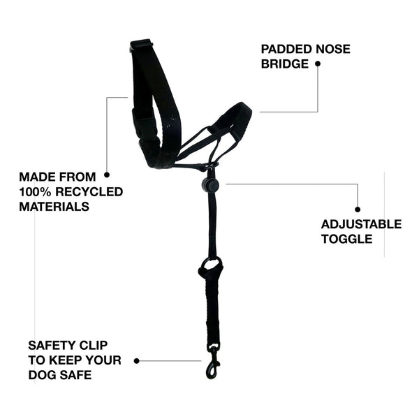 Halter + Safety Clip – Stylish Hound