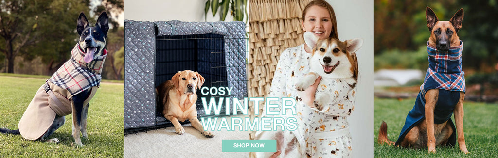 Stylish Hound | Modern Dog Accessories