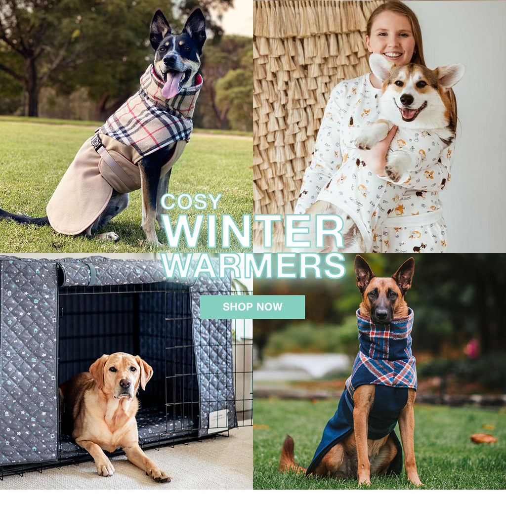 Stylish Hound | Modern Dog Accessories